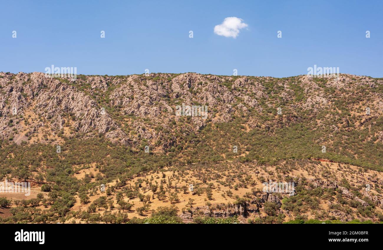 the formation of Mountains with trees, foliage, grass and blue sky in ...