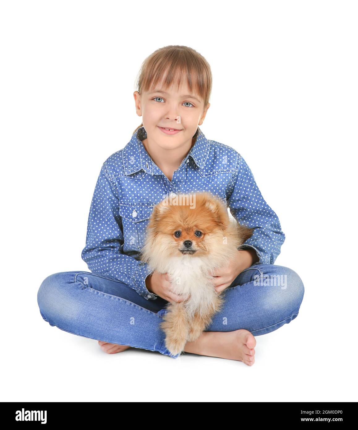 Cute girl with little dog on white background Stock Photo - Alamy