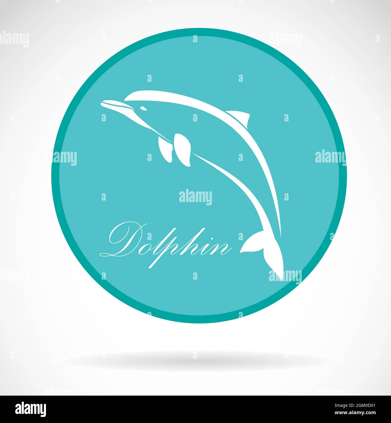 Cartoon dolphin jumping High Resolution Stock Photography and Images ...