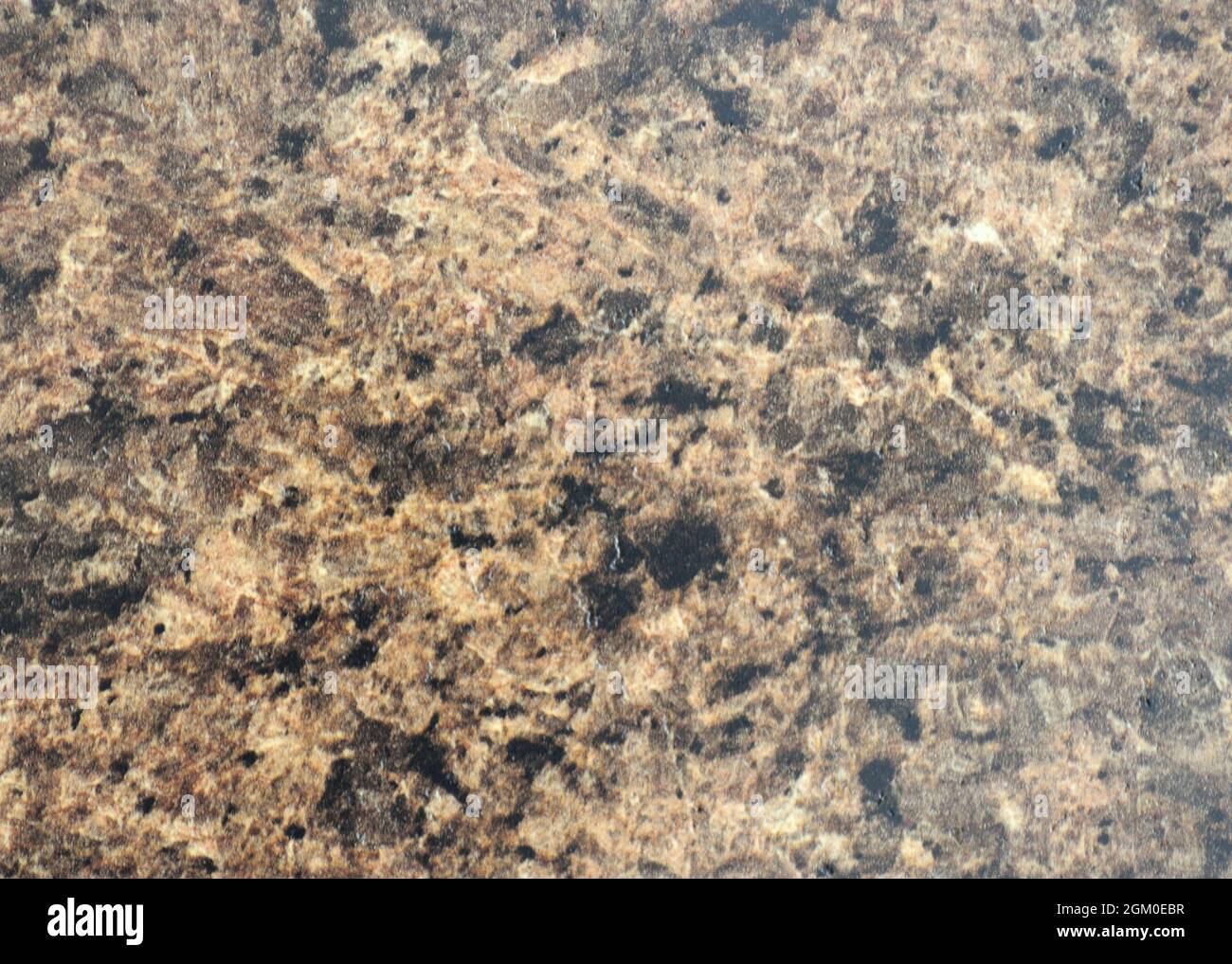 Pale brown marble with a scattering of small black inclusions, a close ...