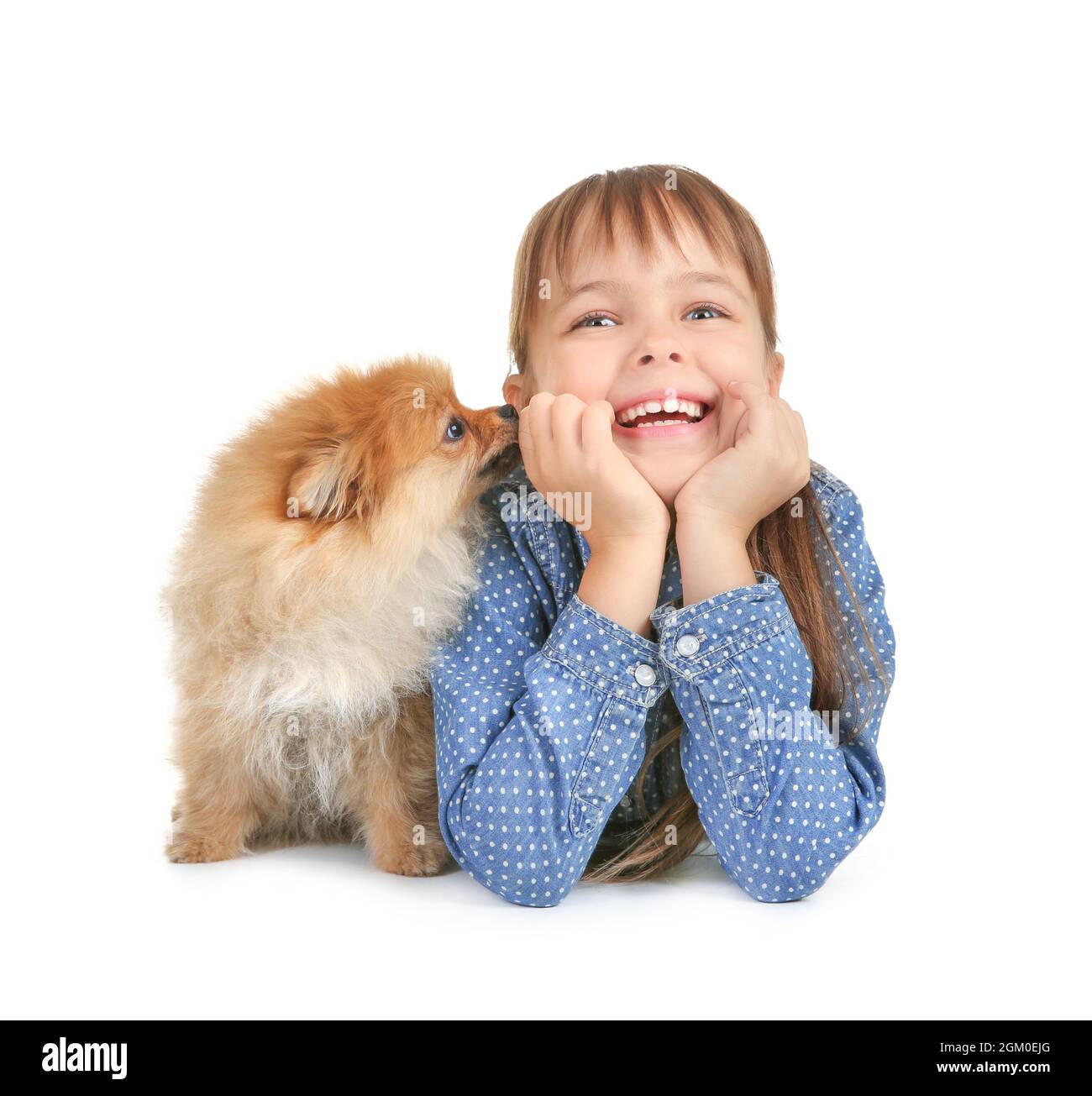 Cute girl with little dog on white background Stock Photo - Alamy