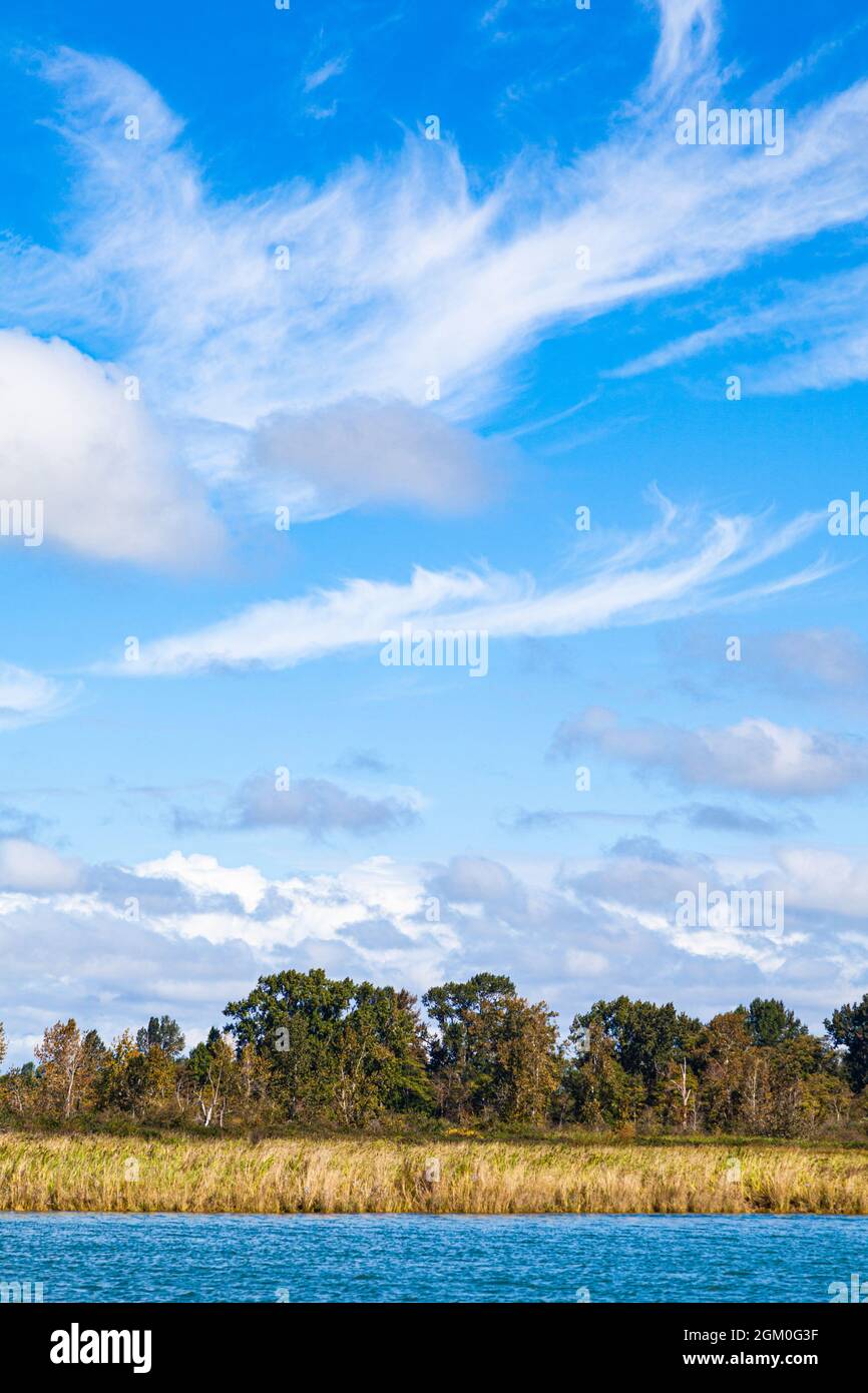 Fraser river delta grass hi-res stock photography and images - Alamy