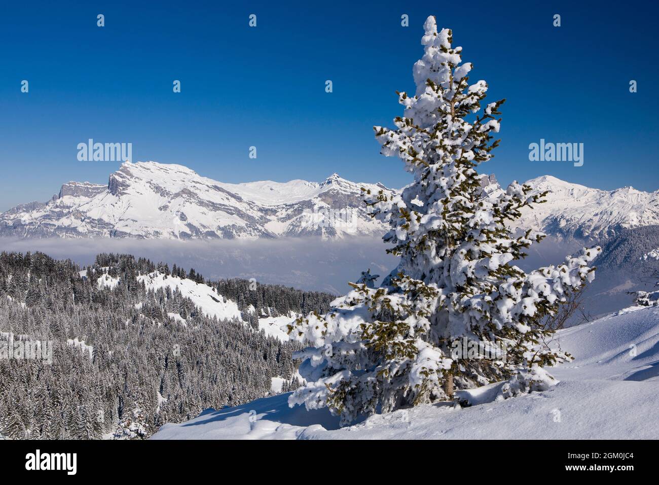 FRANCE HAUTE-SAVOIE (74) SAINT-GERVAIS, THE PEAK OF VARAN FROM THE ...