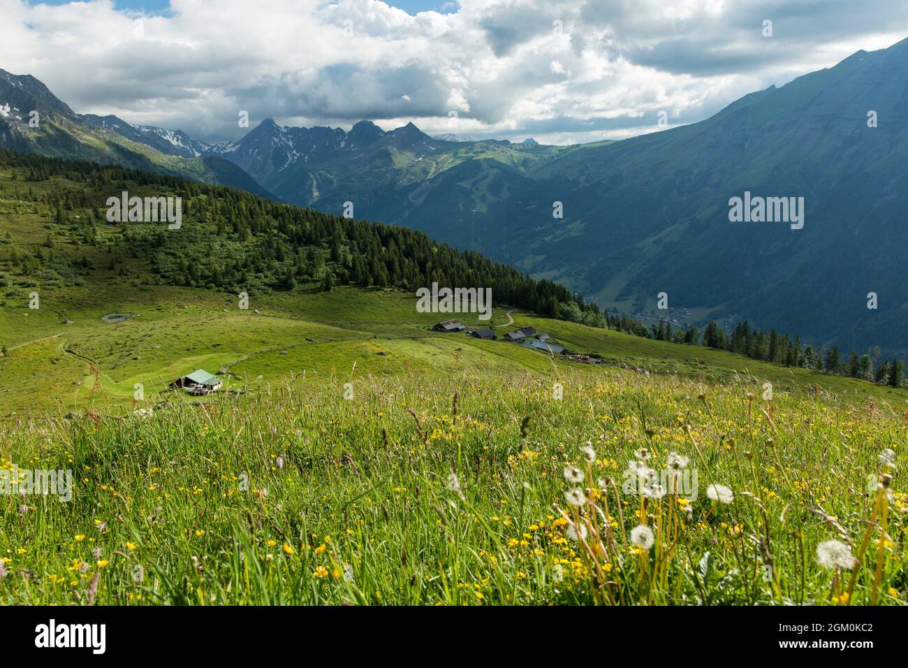 FRANCE HAUTE-SAVOIE (74) LES CONTAMINES-MONTJOIE, PLATEAU AND PASTURE ...