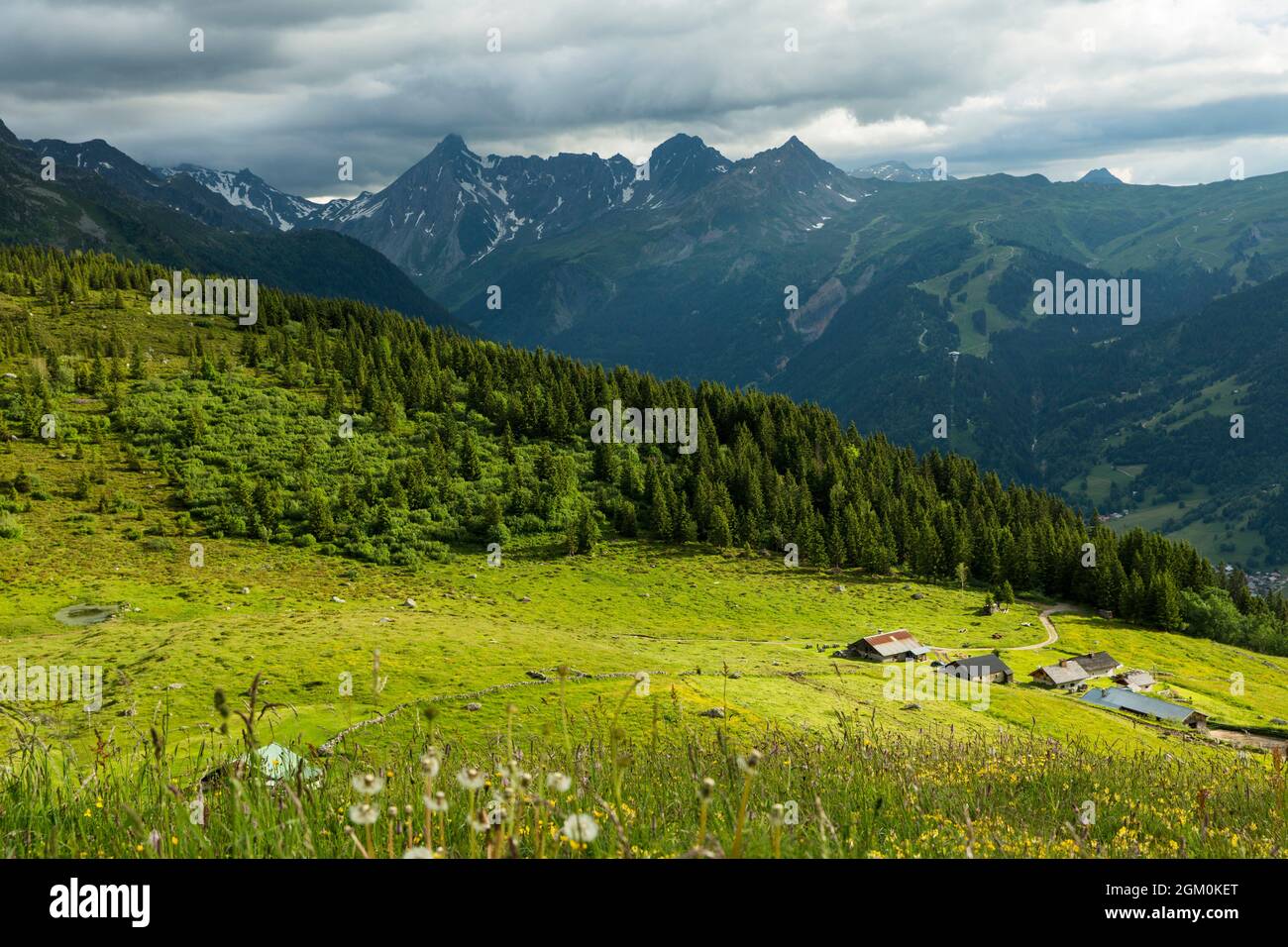 FRANCE HAUTE-SAVOIE (74) LES CONTAMINES-MONTJOIE, PLATEAU AND PASTURE ...