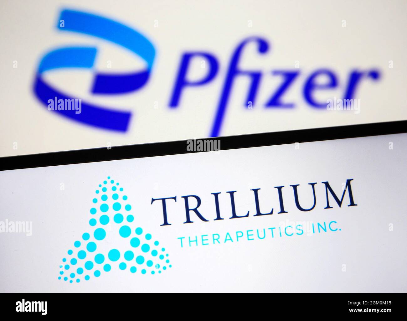 In this photo illustration, Trillium Therapeutics Inc. logo is seen on ...