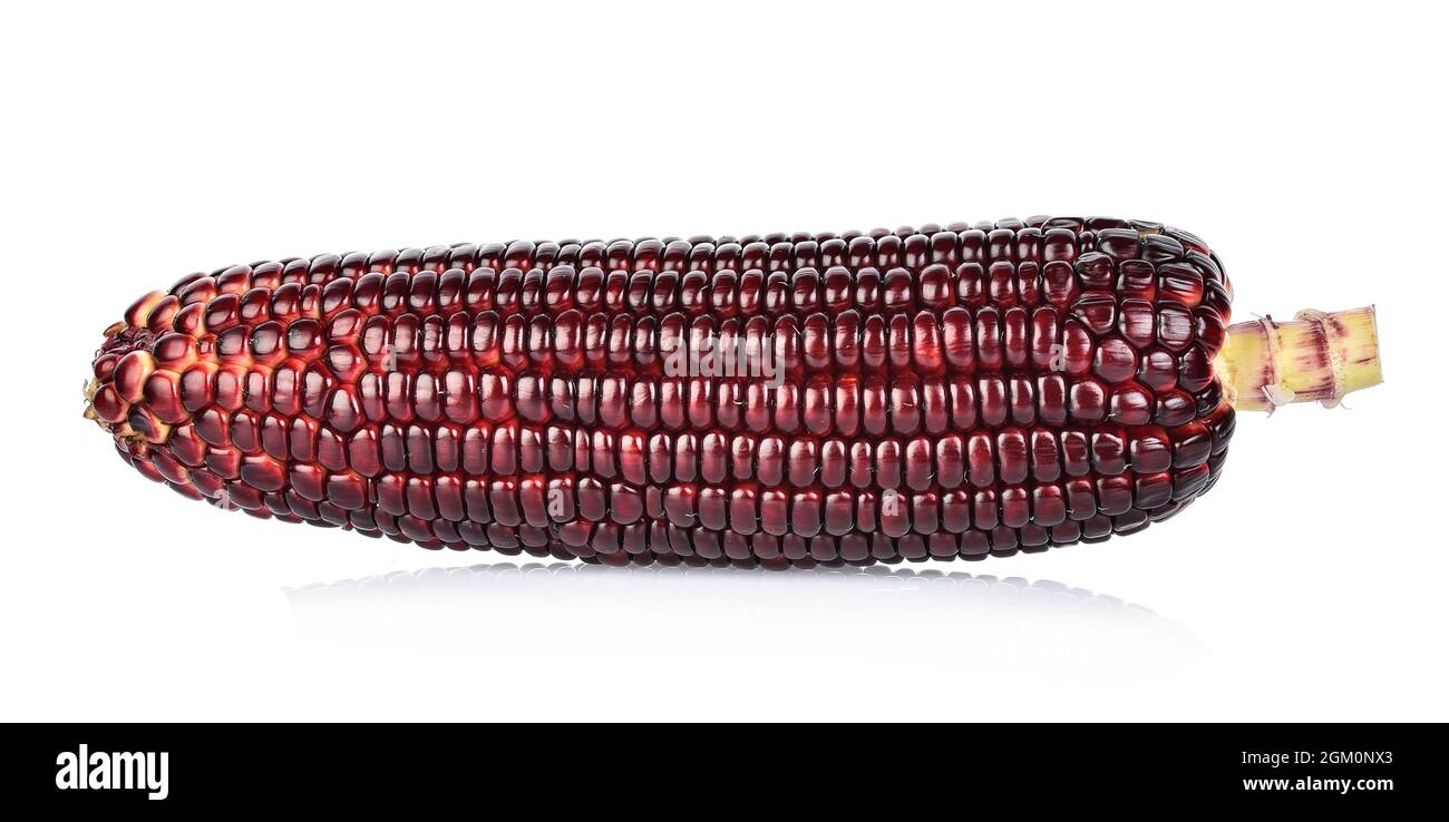 Purple corn (Siam Ruby Corn) isolated on white background Stock Photo ...