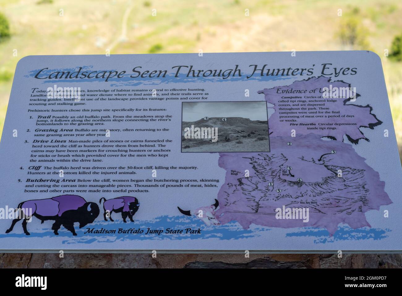 Madison Buffalo Jump SP , MT, USA - July 2, 2020: Landscape Seen ...