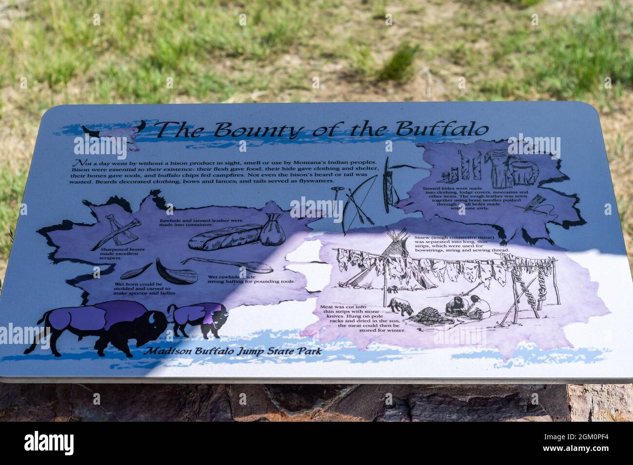 Madison Buffalo Jump SP , MT, USA - July 2, 2020: The Bounty of the ...