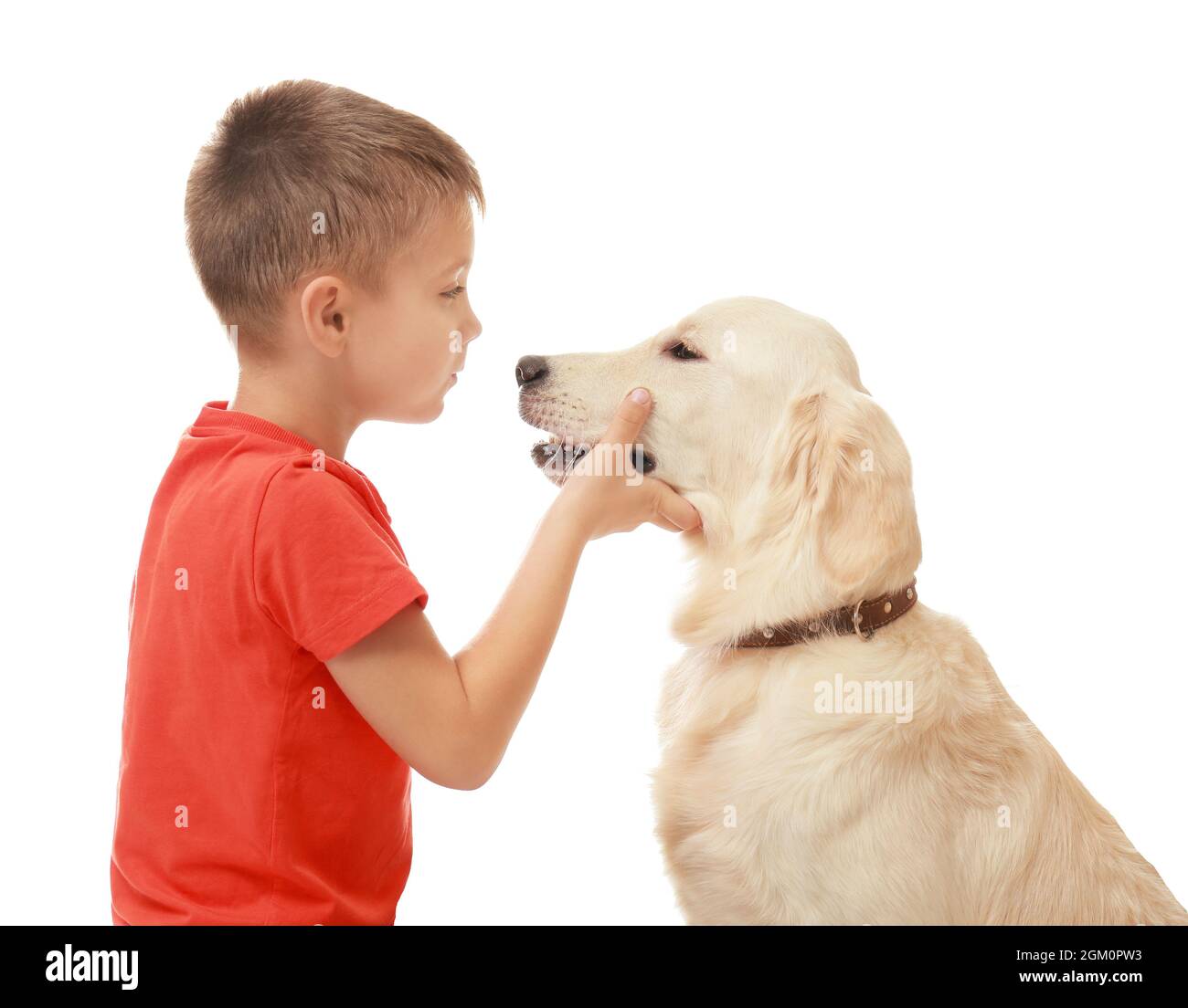 Cute little boy with dog on white background Stock Photo - Alamy