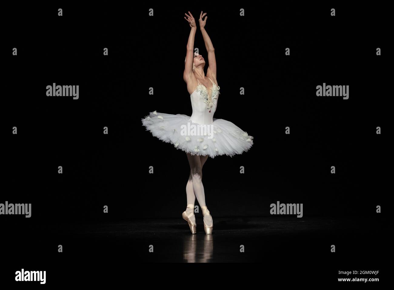 The Dying Swan performed by Christine Shevchenko part of the Ukrainian ...