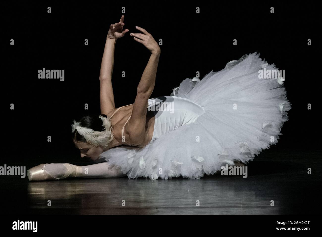 The Dying Swan performed by Christine Shevchenko part of the Ukrainian ...