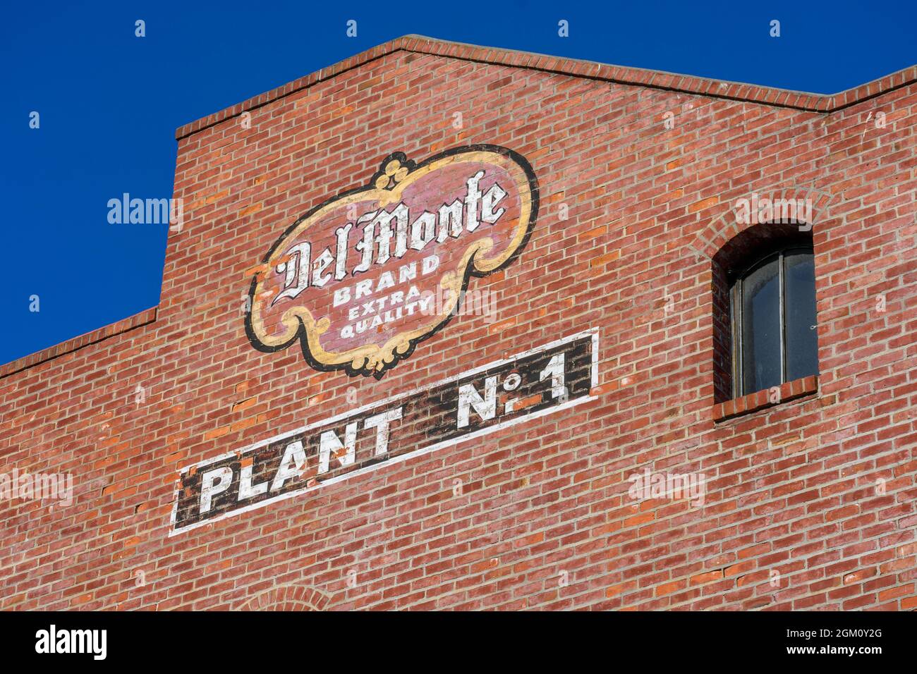 Del Monte Foods Logo