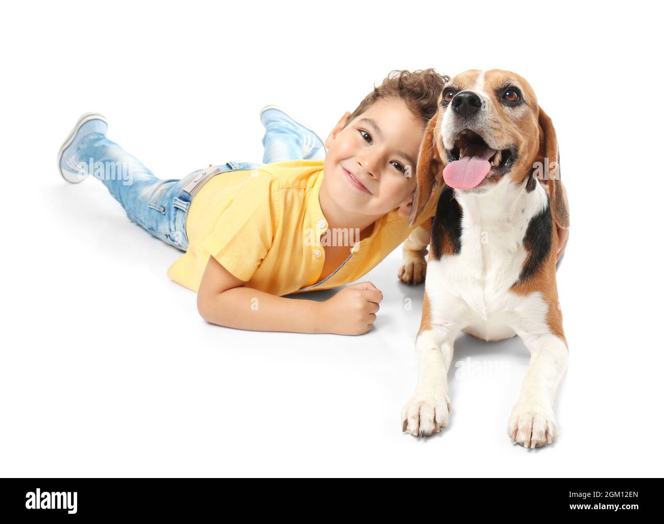 Cute little boy with dog on white background Stock Photo - Alamy
