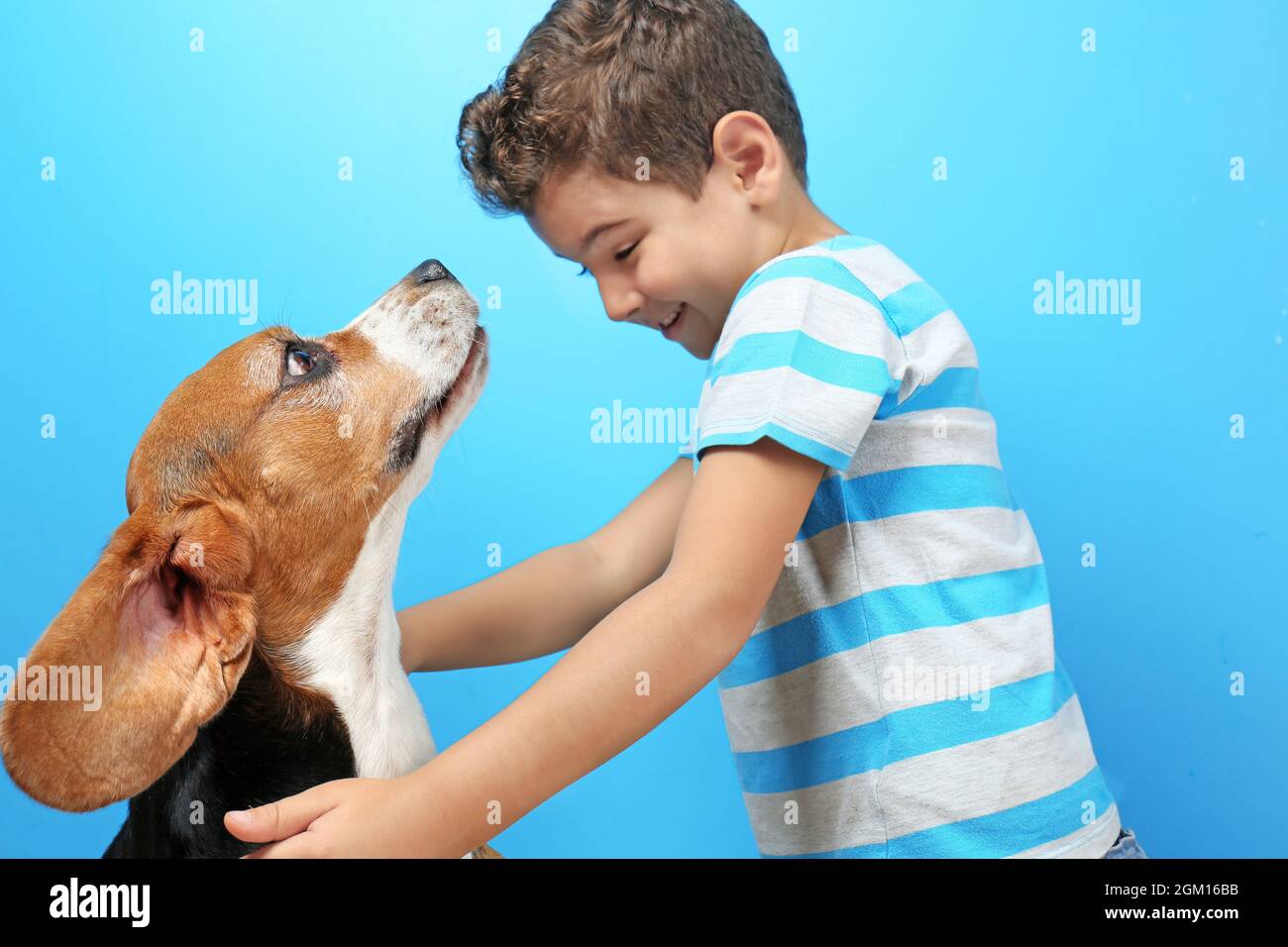 Cute boy with dog on color background Stock Photo - Alamy