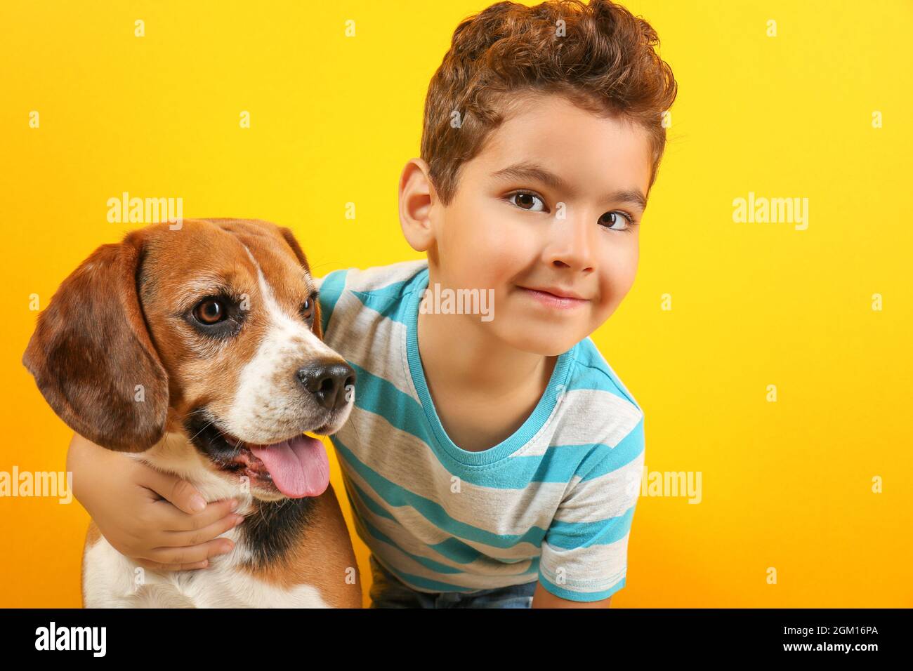 Cute boy with dog on color background Stock Photo - Alamy