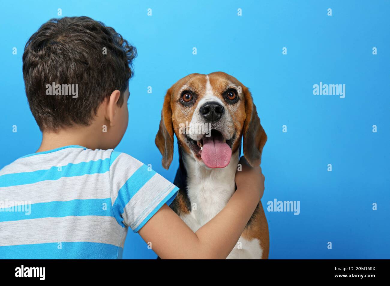 Cute boy with dog on color background Stock Photo - Alamy