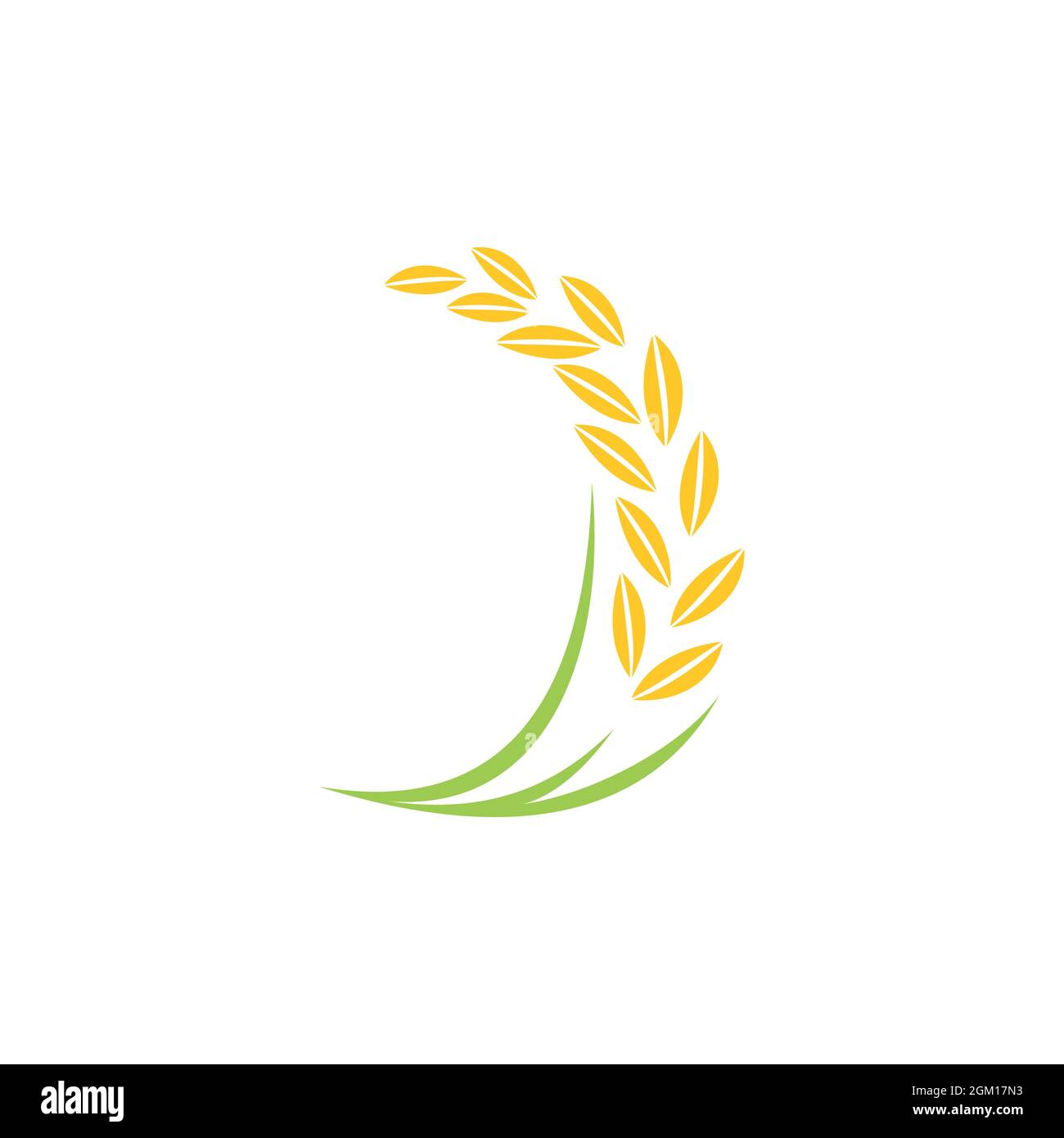 The field and rice field Stock Vector Images - Alamy