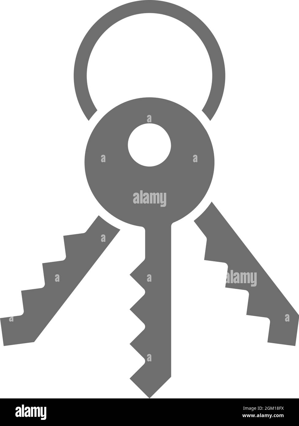 House keys, security symbol grey icon. Isolated on white background ...