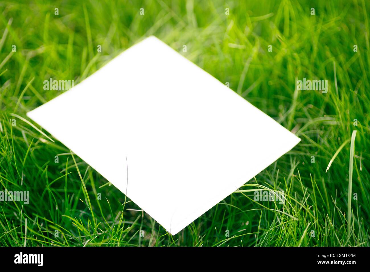 Paper grass texture hi-res stock photography and images - Alamy