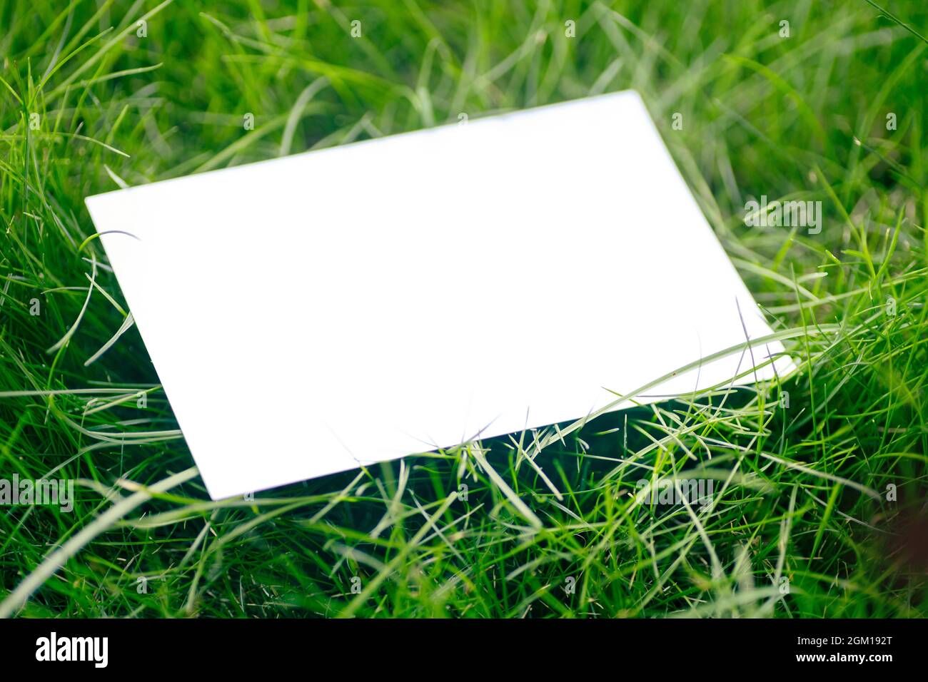 Top view of frame made of green garden grass and copy space on white ...