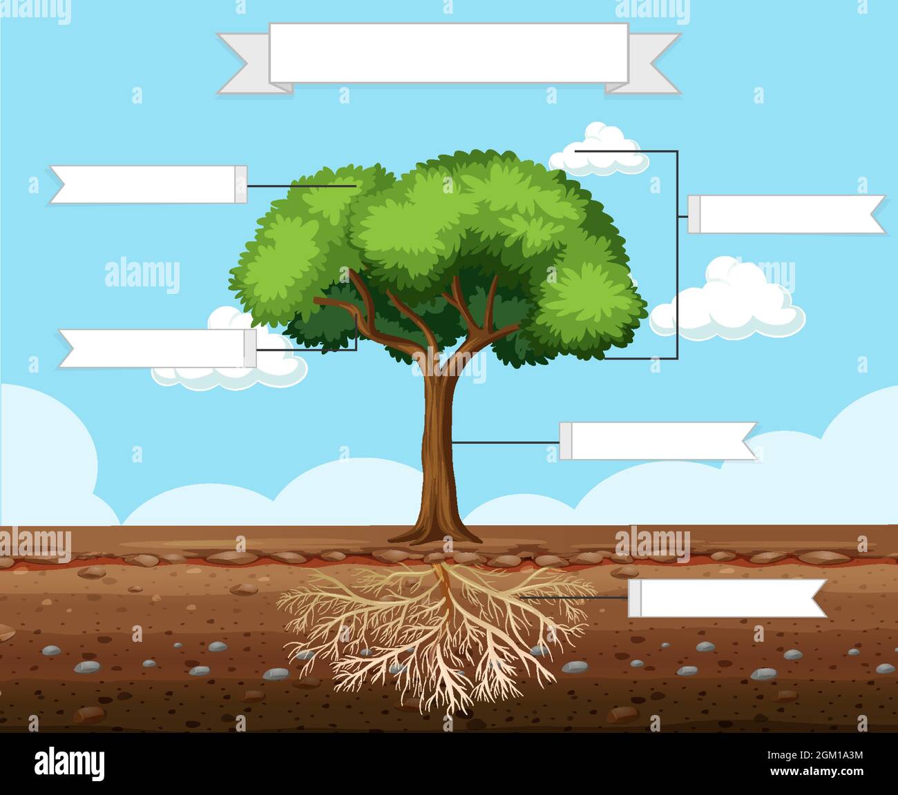 Write parts of a tree worksheet for kids illustration Stock Vector ...