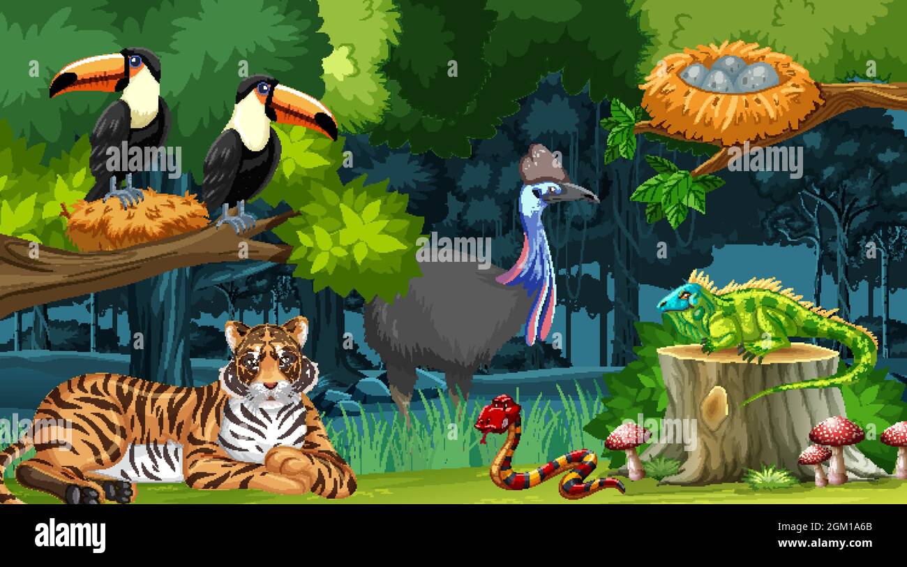 Wild animals in forest landscape background illustration Stock Vector ...