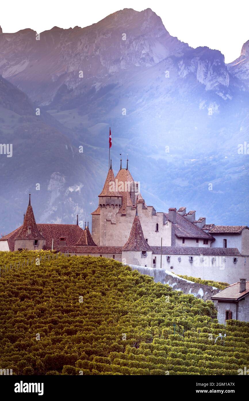 Famous castle Chateau d'Aigle among the vineyards in canton Vaud ...