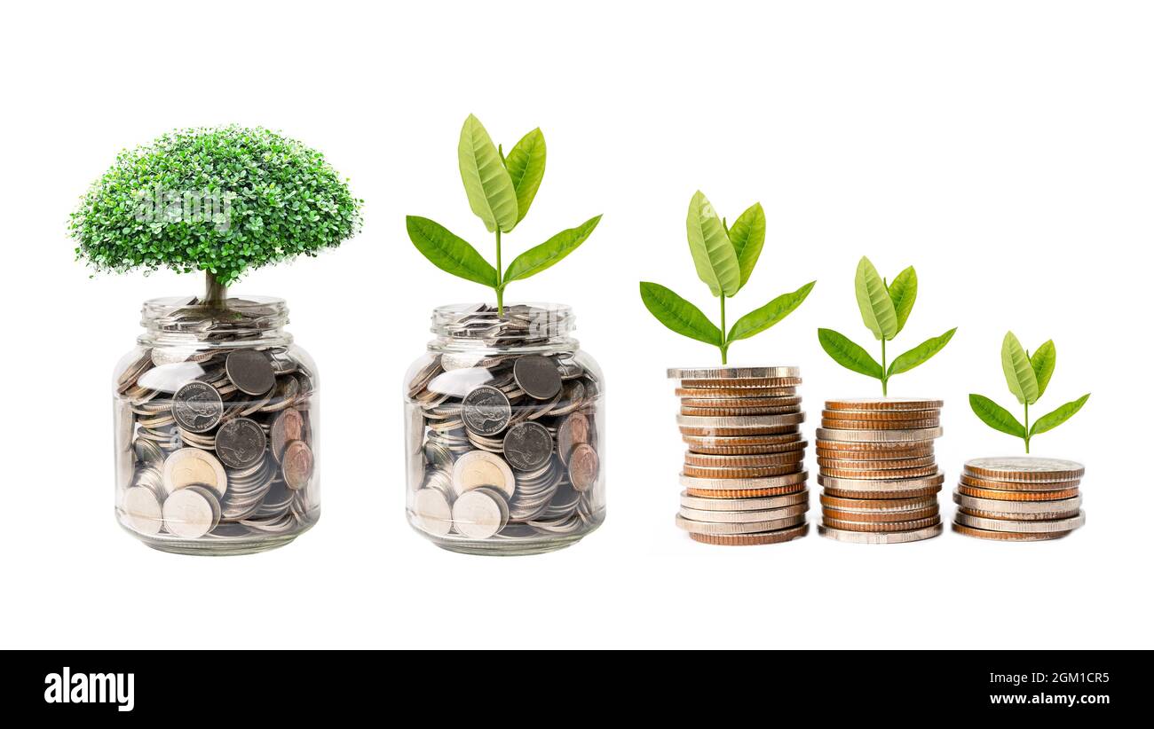 Business Saving Money Images