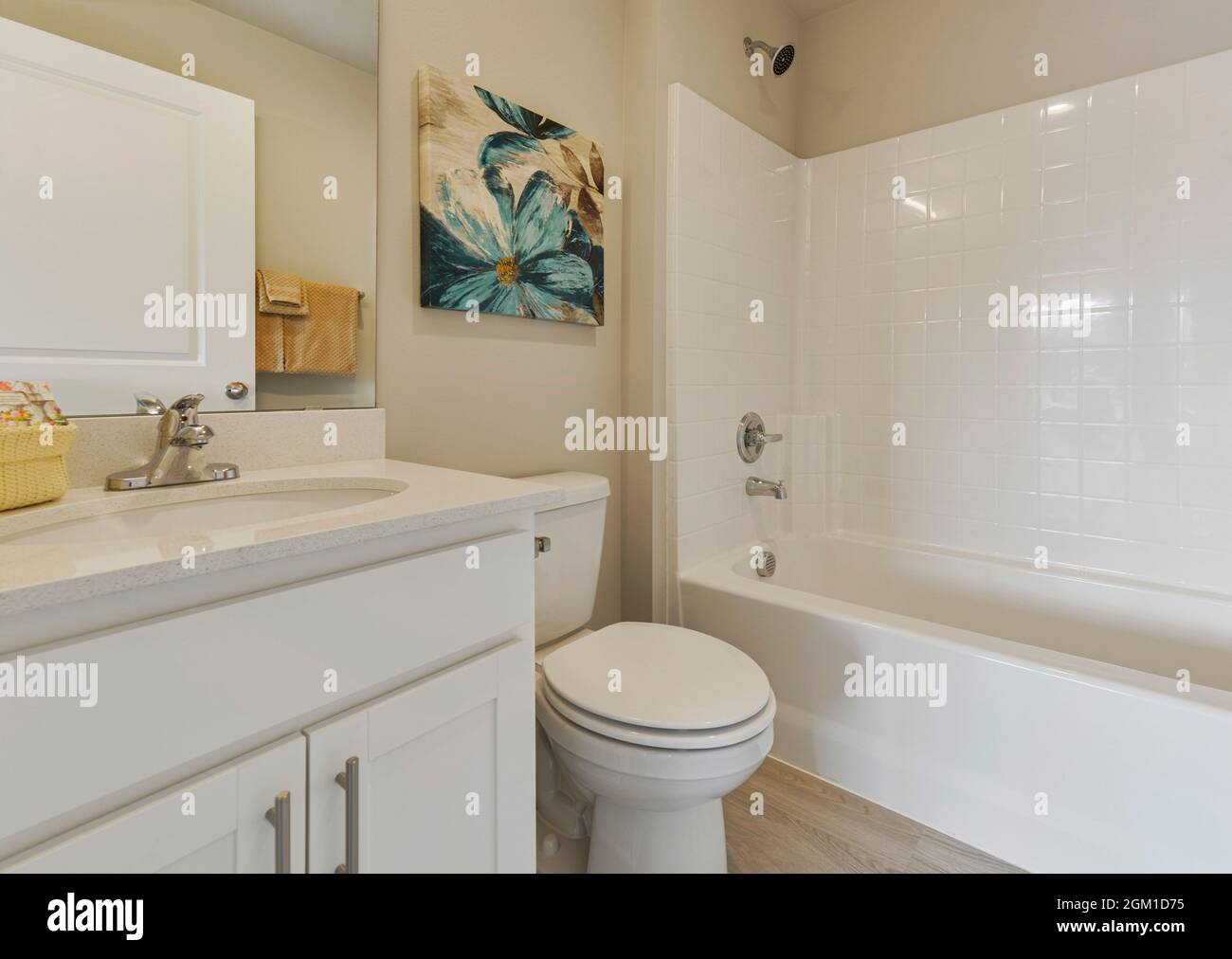 Modern residential bathroom interior Stock Photo - Alamy