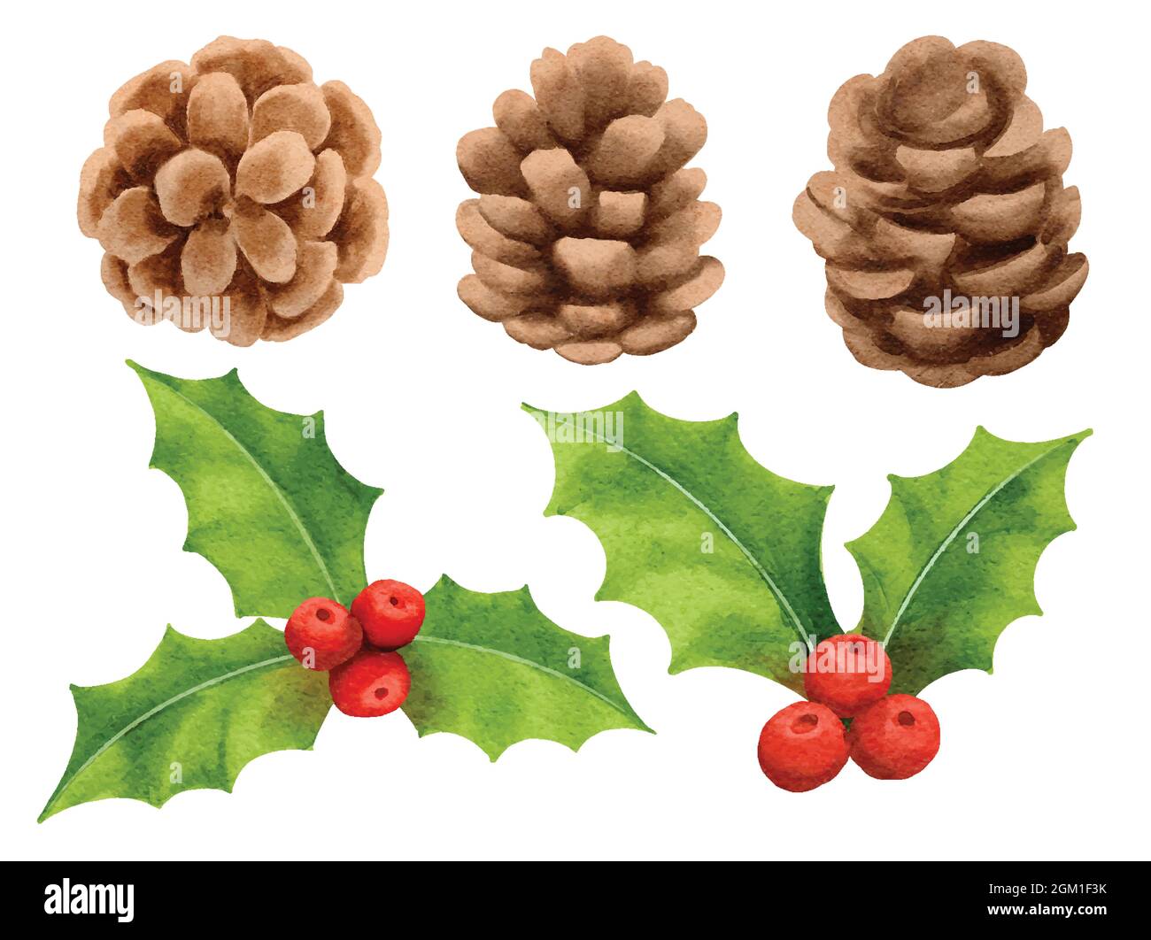 Christmas decorations watercolor style. Holly berry, pine, pine cone ...