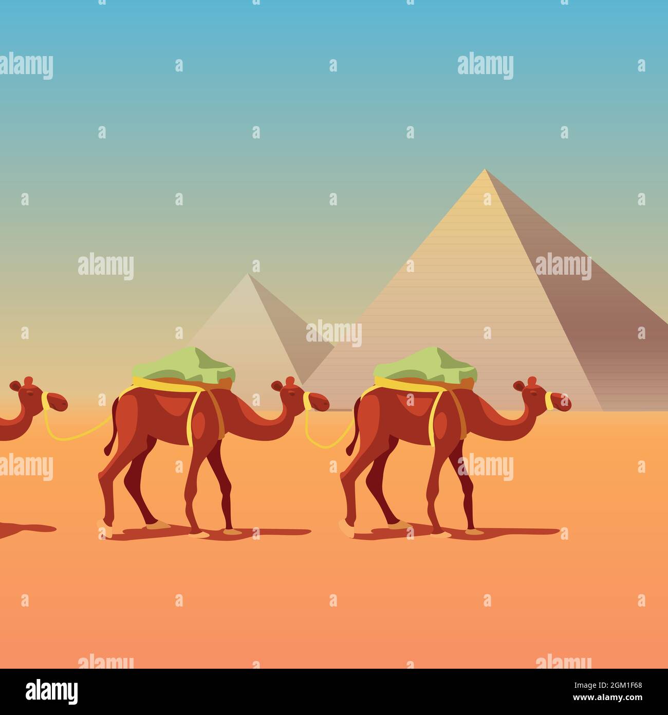 Egypt pyramids pyramid camel Stock Vector Images - Alamy