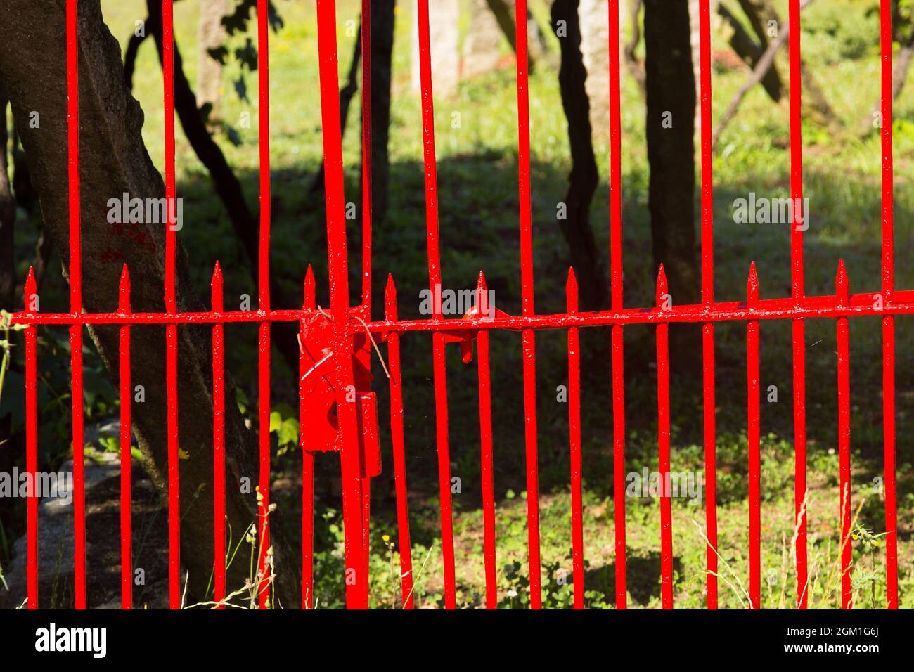 Rustic grille in the field of intense red color. Gate in the form of a ...