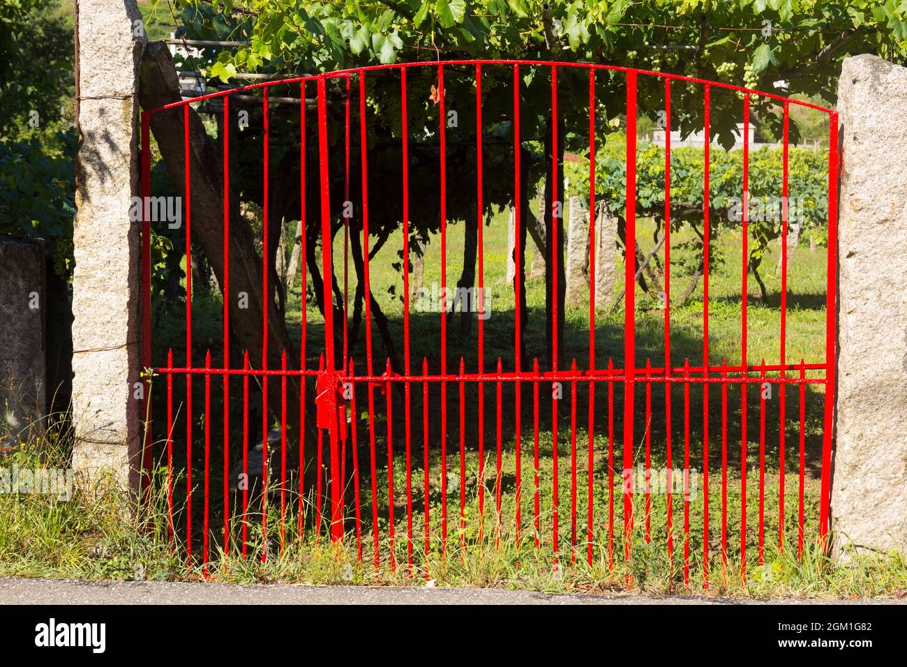 Rustic grille in the field of intense red color. Gate in the form of a ...