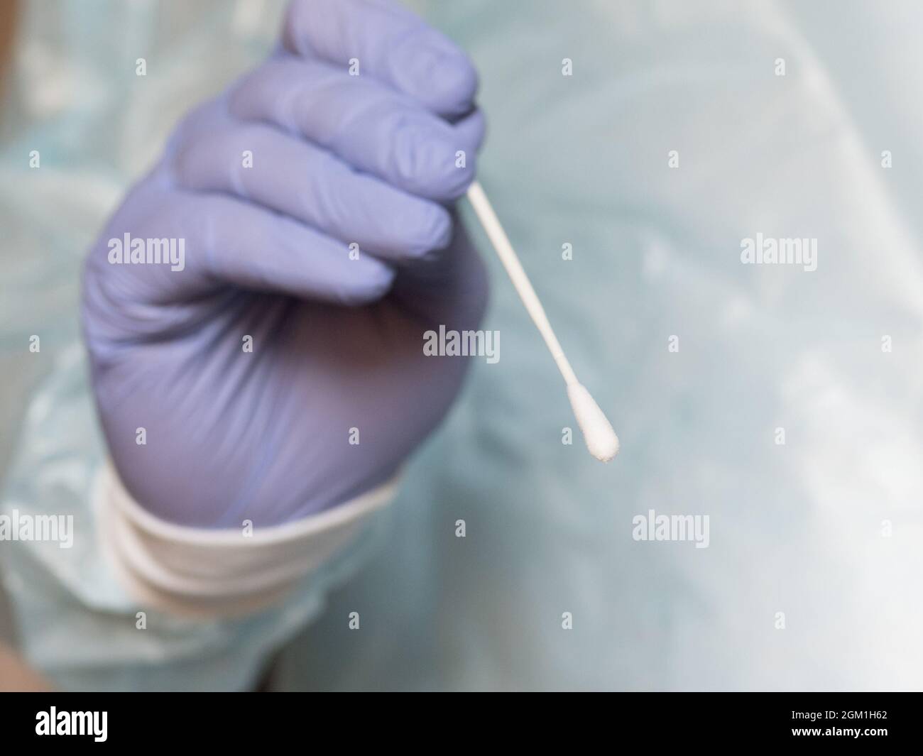 Hand in medical gloves holding an oral swab to collect sample for covid ...