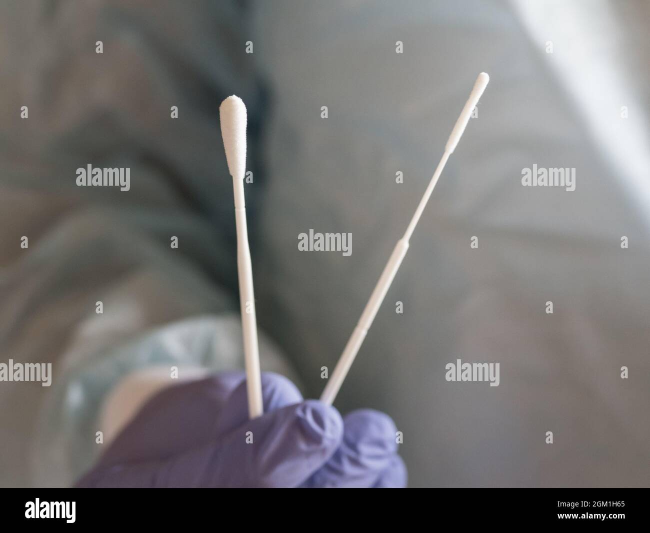 Hand in medical gloves holding oral and nasal sample swabs to collect ...