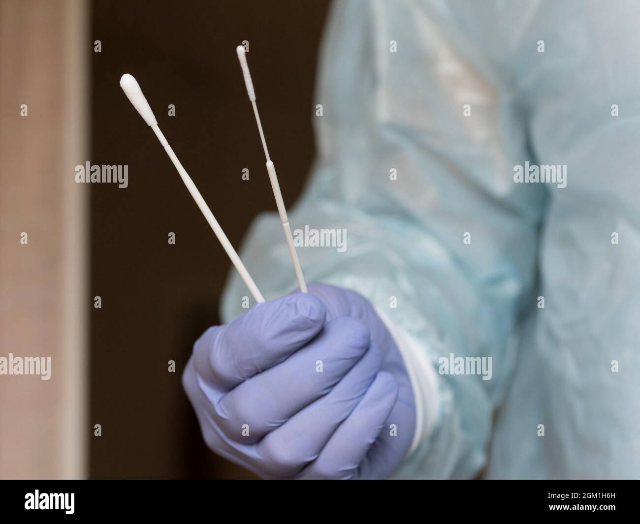 Hand in medical gloves holding oral and nasal sample swabs to collect ...