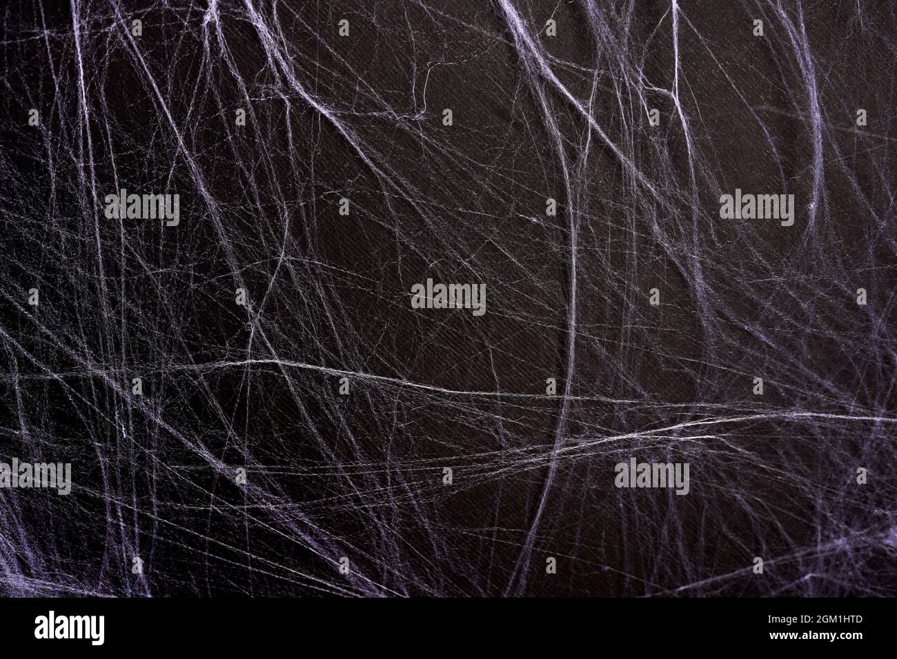 white spider web texture horror black background Stock Photo - Alamy
