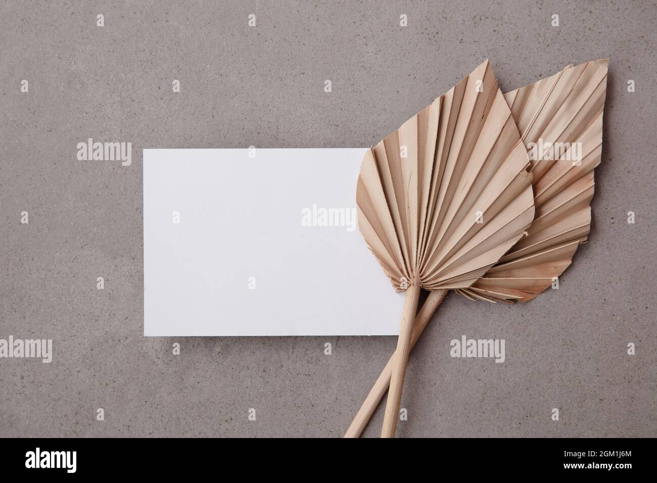 Blank invitation card for a natural wedding or celebration event with ...