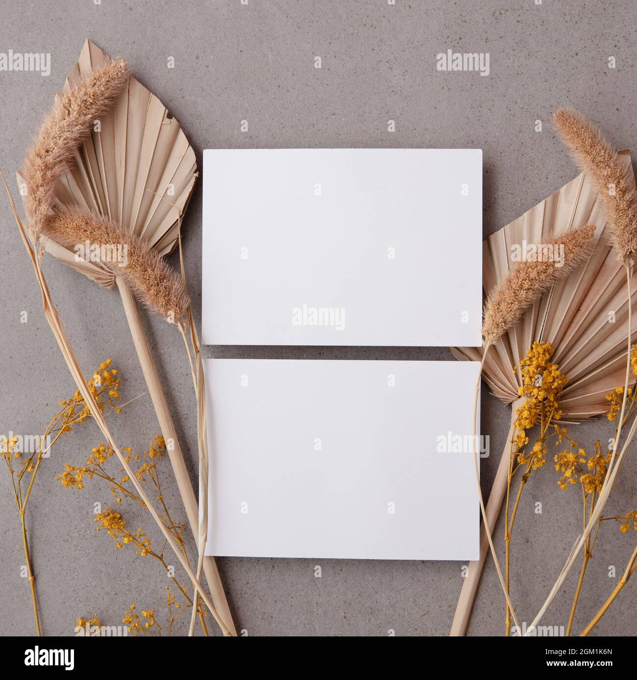 Bohemian blank invitation card surrounded by natural dried palm leaf ...