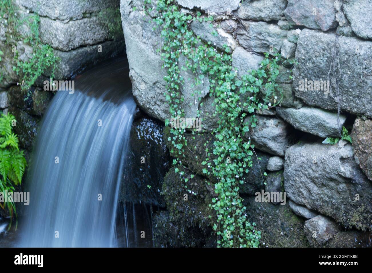 Small waterfalls; waterfalls. Nature. Foam generated by the waterfall ...