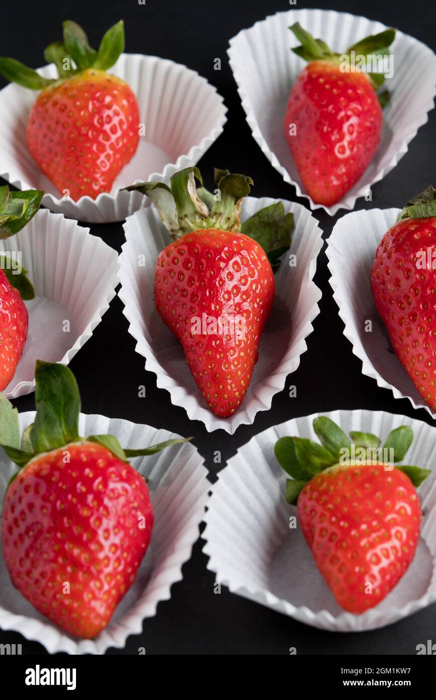 Fragaria, commonly called strawberry or strawberry, is a genus of ...