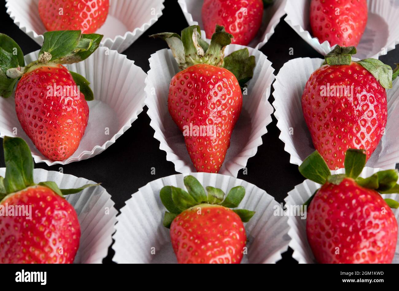 Stoloniferous creeping plants hi-res stock photography and images - Alamy