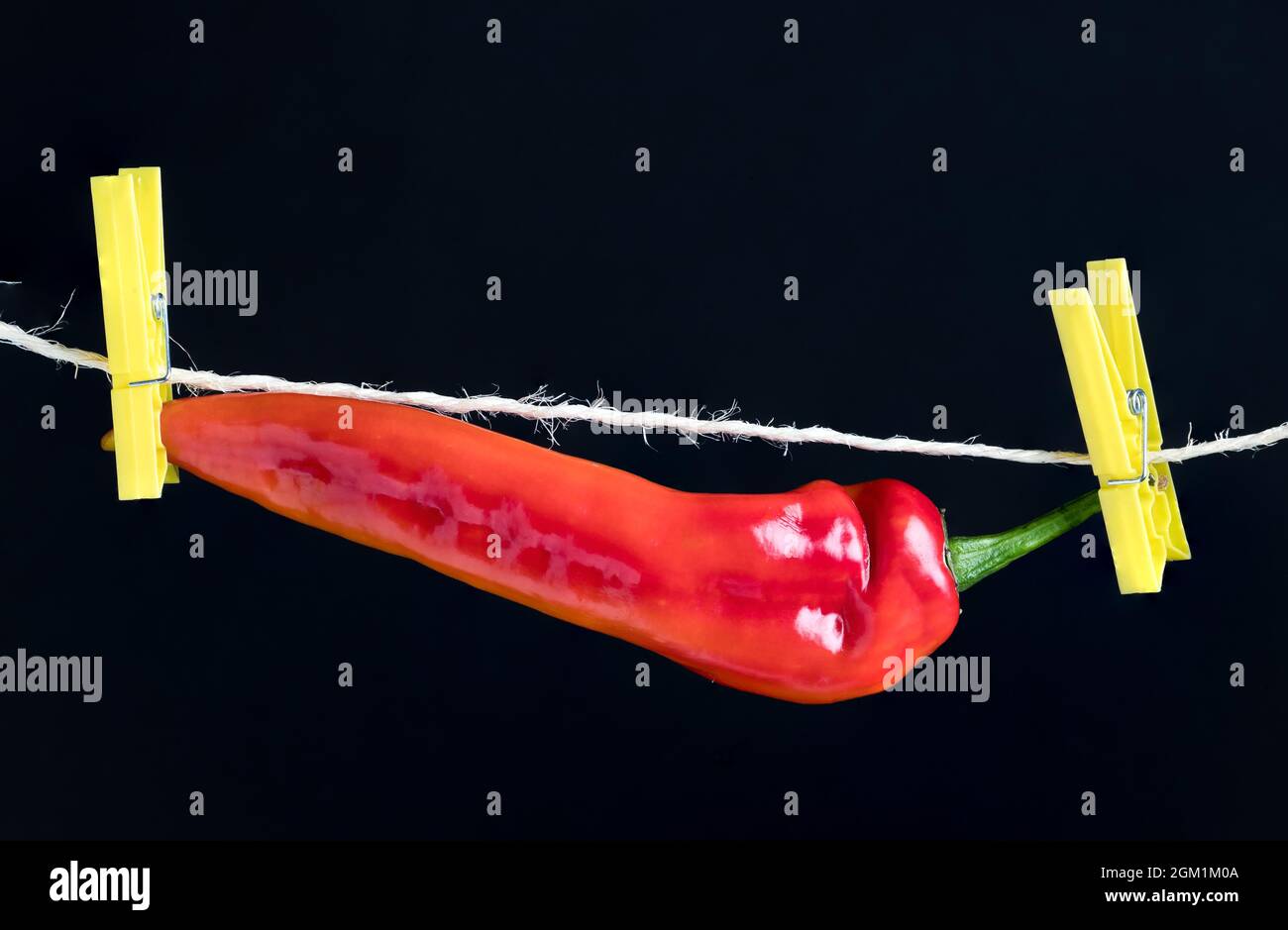 Italian pepper: annual plant with an upright stem, with a height of ...