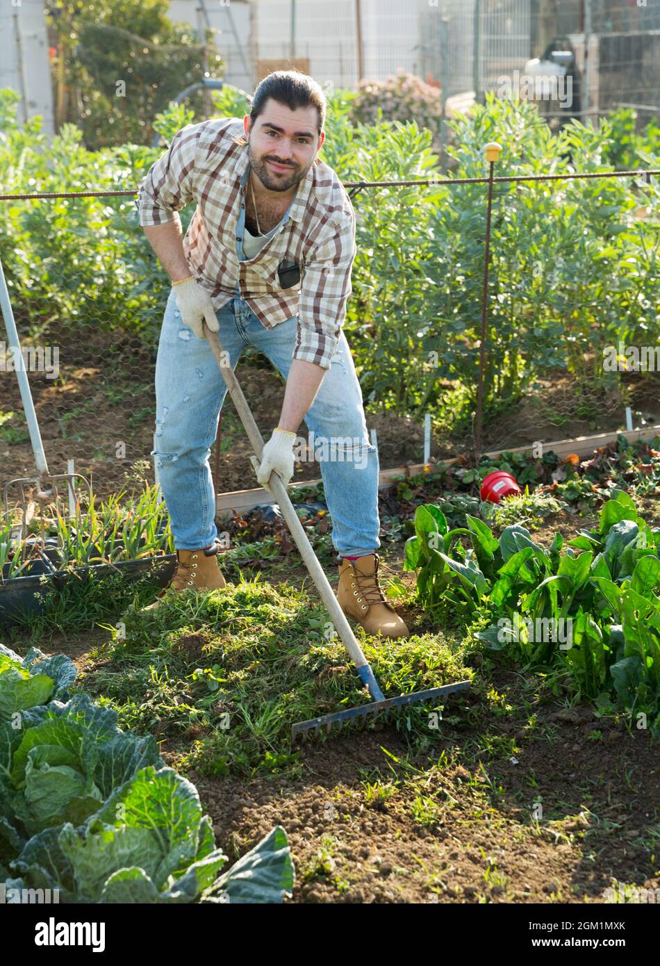 Man raking grass in homestead Stock Photo - Alamy