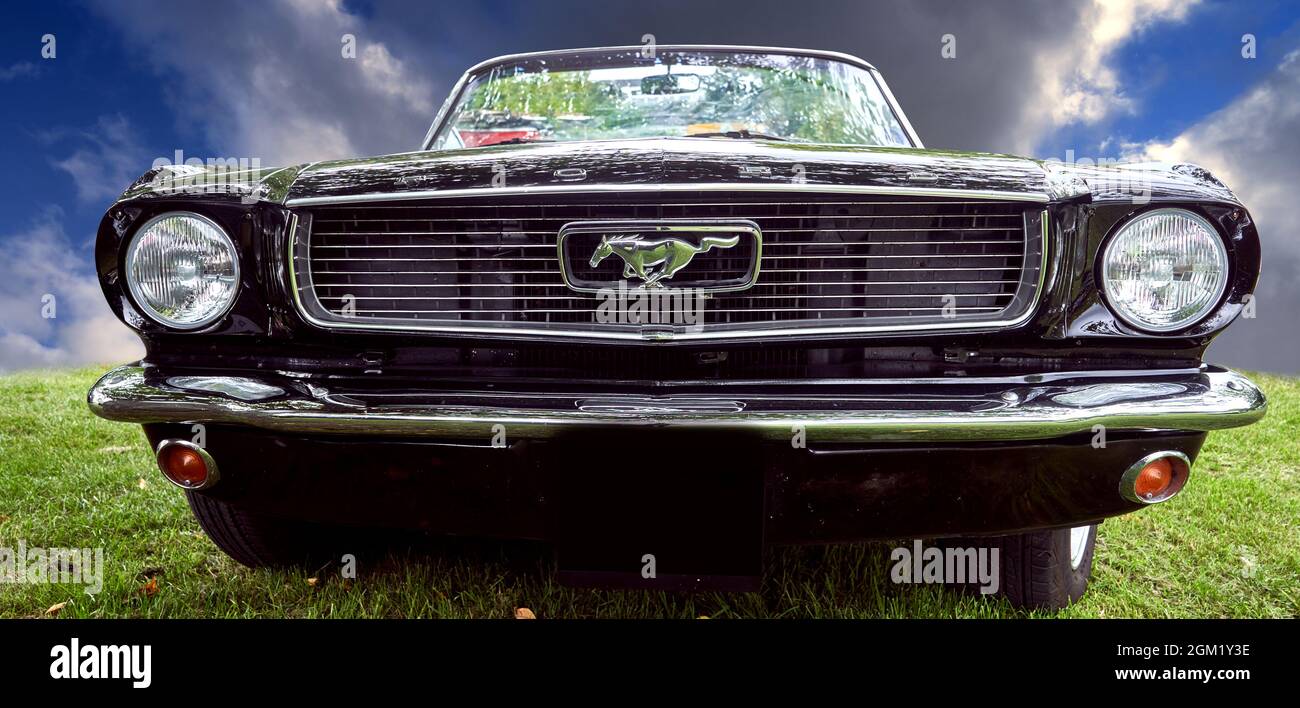 Ford Mustang convertible, front view of the American muscle car with ...