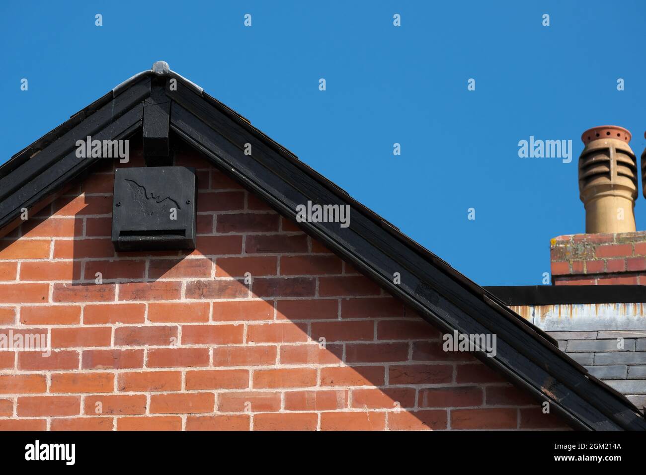 Bat box hi-res stock photography and images - Alamy