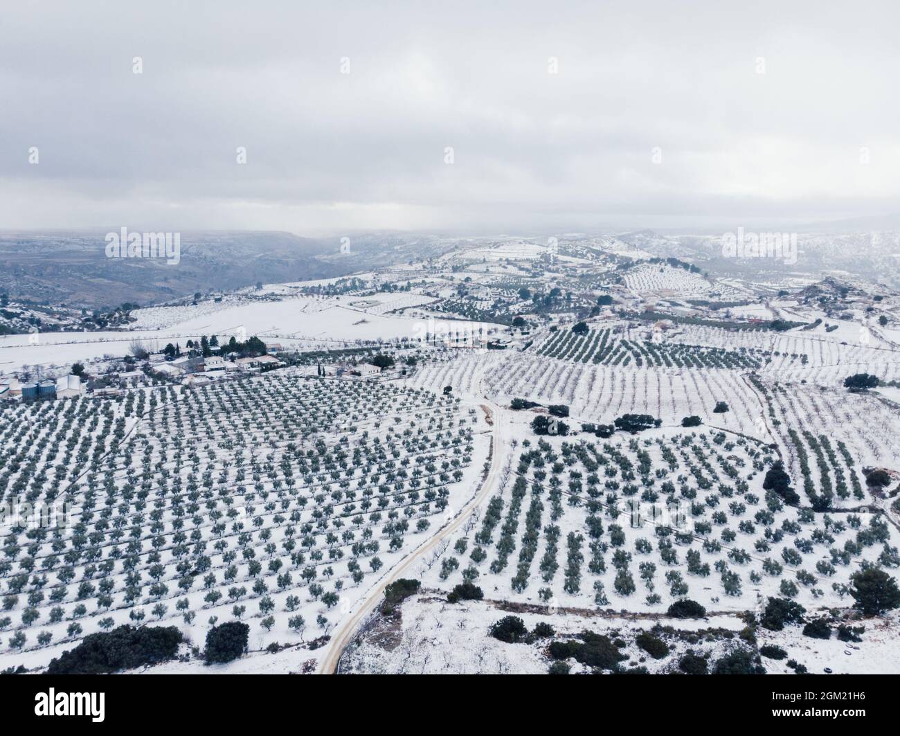 Olive trees plantation sierra hi-res stock photography and images - Alamy
