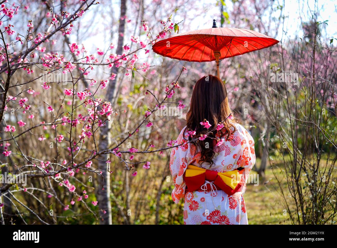 Dien bien photography hi-res stock photography and images - Alamy