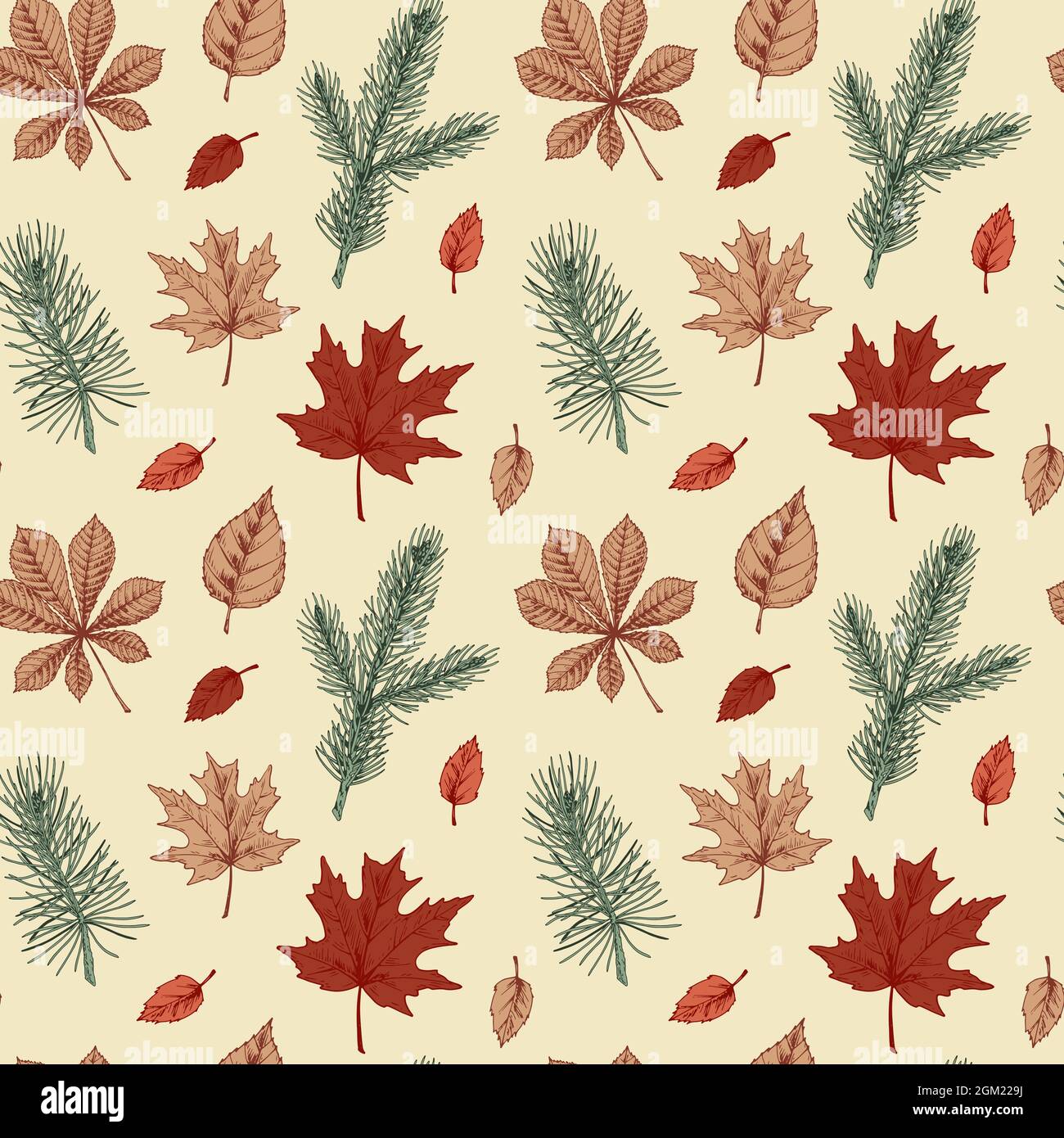 Pine and maple Stock Vector Images - Alamy